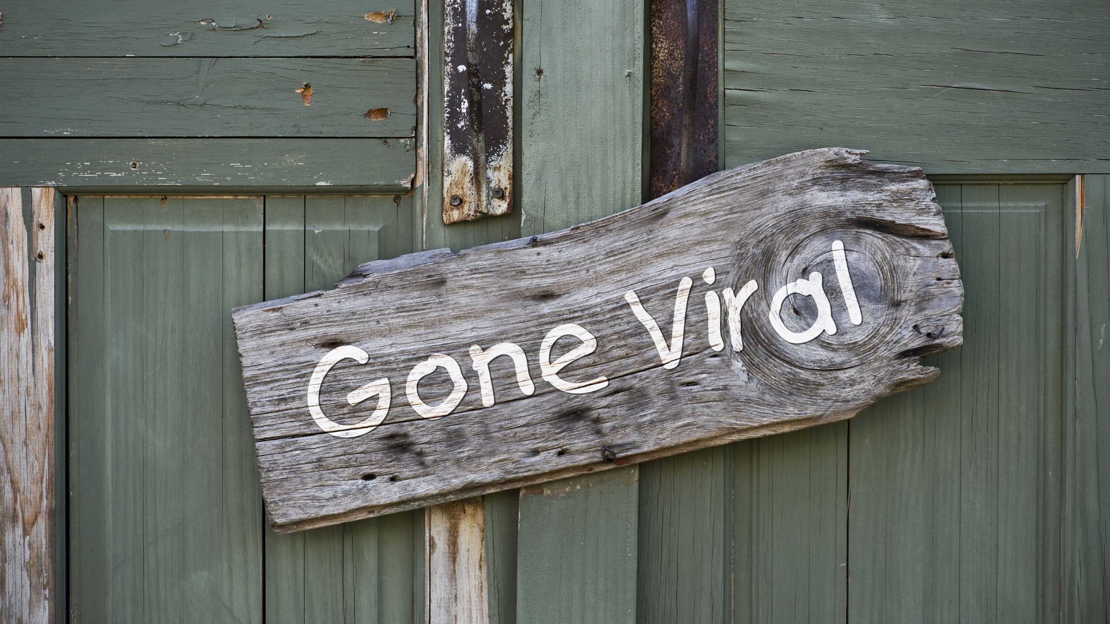 The Anatomy of a Viral Campaign: What Makes Content Spread – Happilebo ...